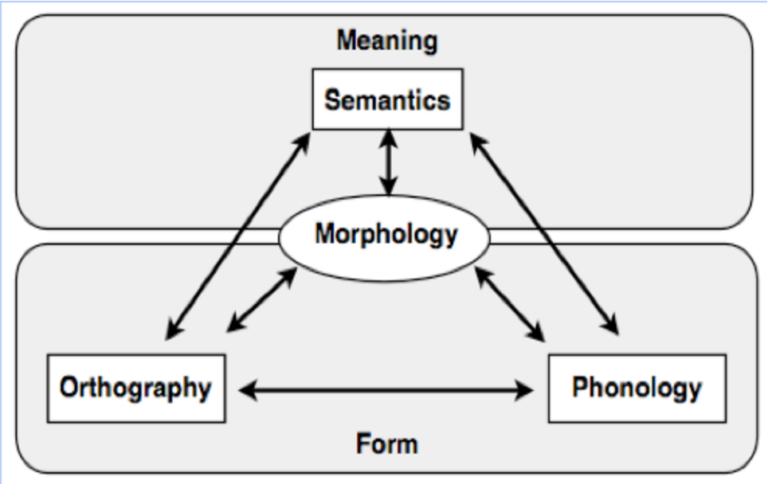 What Should Morphology Instruction Look Like? - IMSE - Journal | IMSE ...